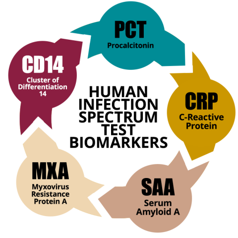 Infection Spectrum Test | Attomarker